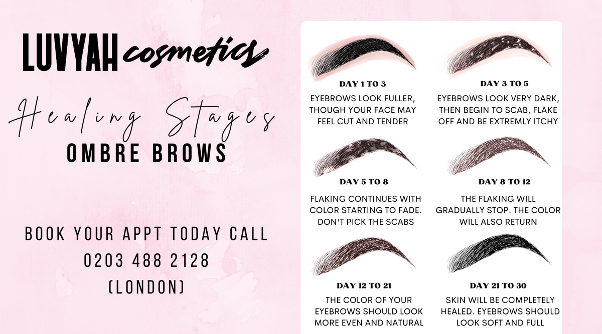 Ombre Brow (Powder Brow) Healing Stages | Luvyah Cosmetics